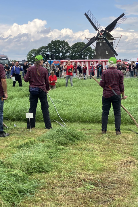 NK Maaien met de zeis » Brabantslandschap.nl
