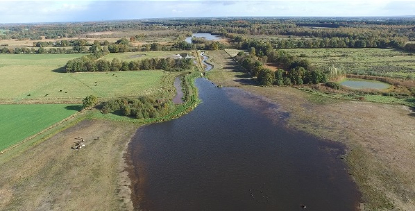 Samenwerking Trees for All » Brabantslandschap.nl
