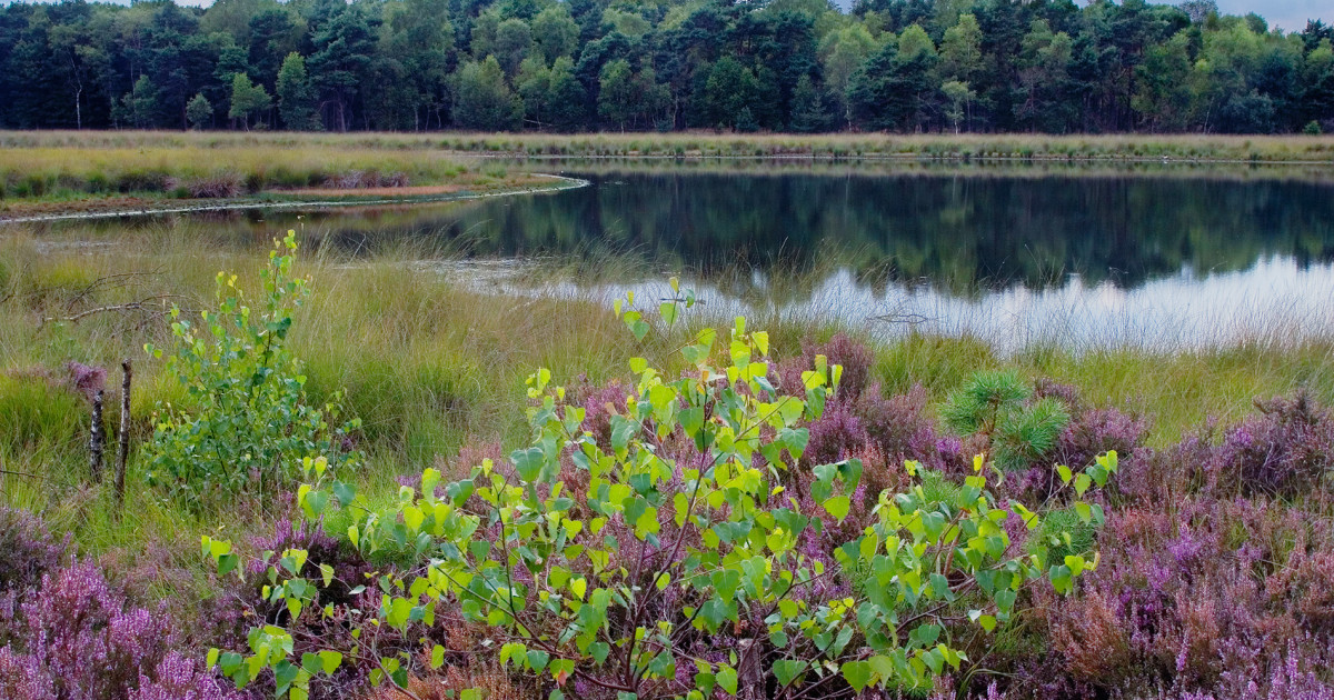 Geef voor meer natuur » Brabantslandschap.nl