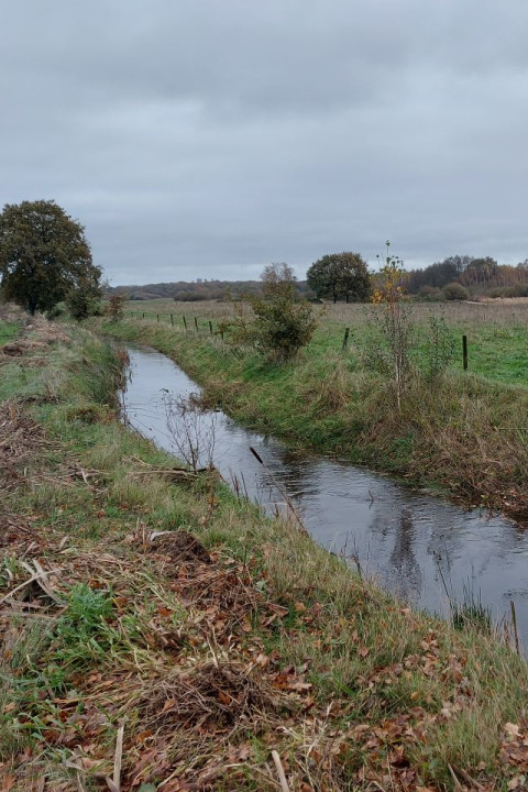 Hydrologisch herstel Regte Heide en Riels Laag » Brabantslandschap.nl