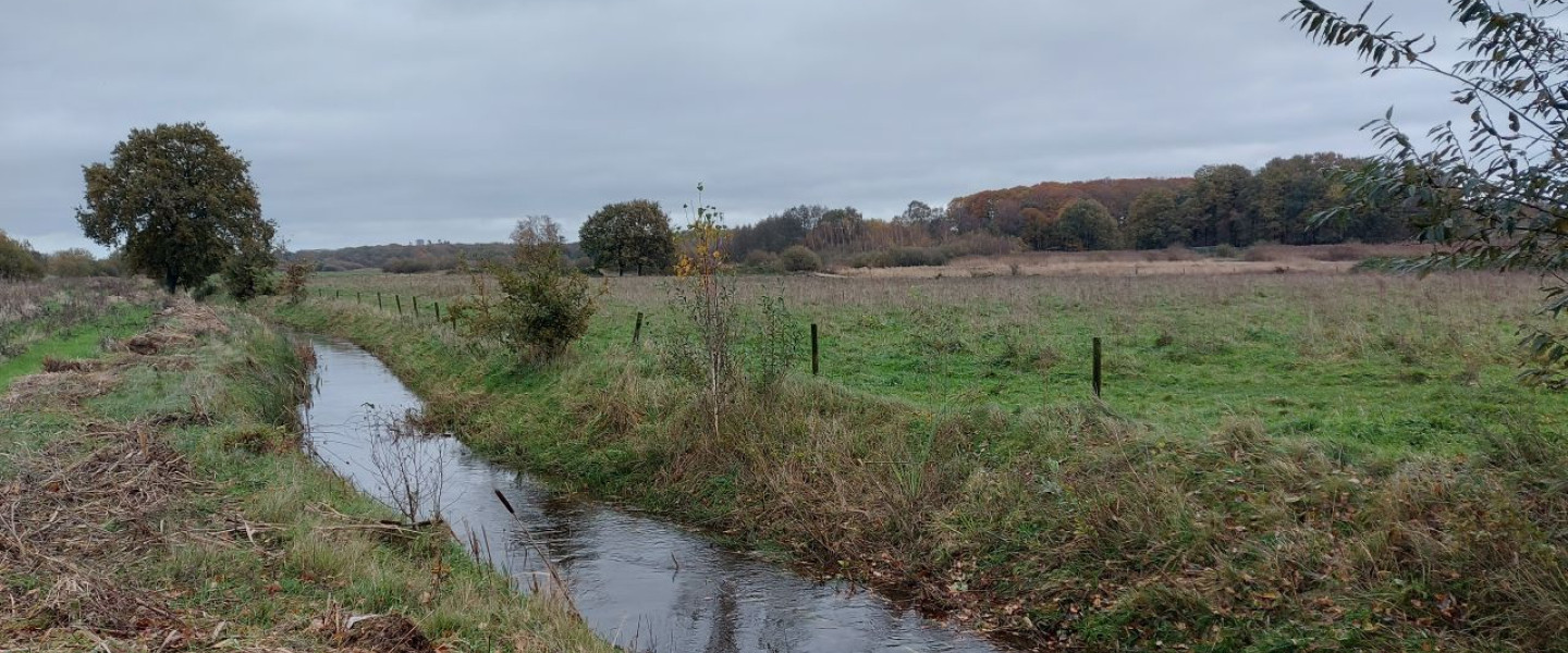 Hydrologisch herstel Regte Heide en Riels Laag » Brabantslandschap.nl