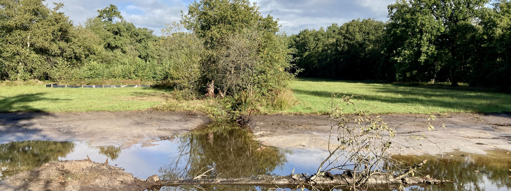 Natte Natuurparel Vloeiweide » Brabantslandschap.nl