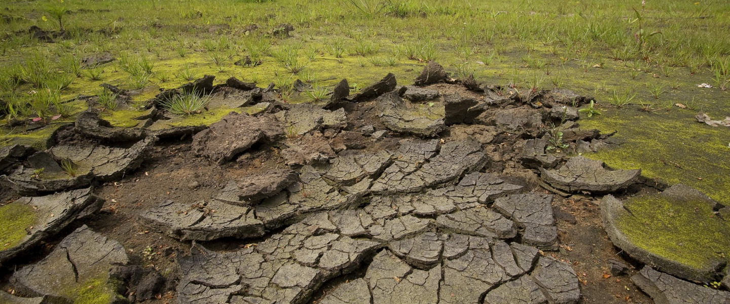 Droogtecommissie bevestigt urgentie aanpak droogte, nu doorpakken ...